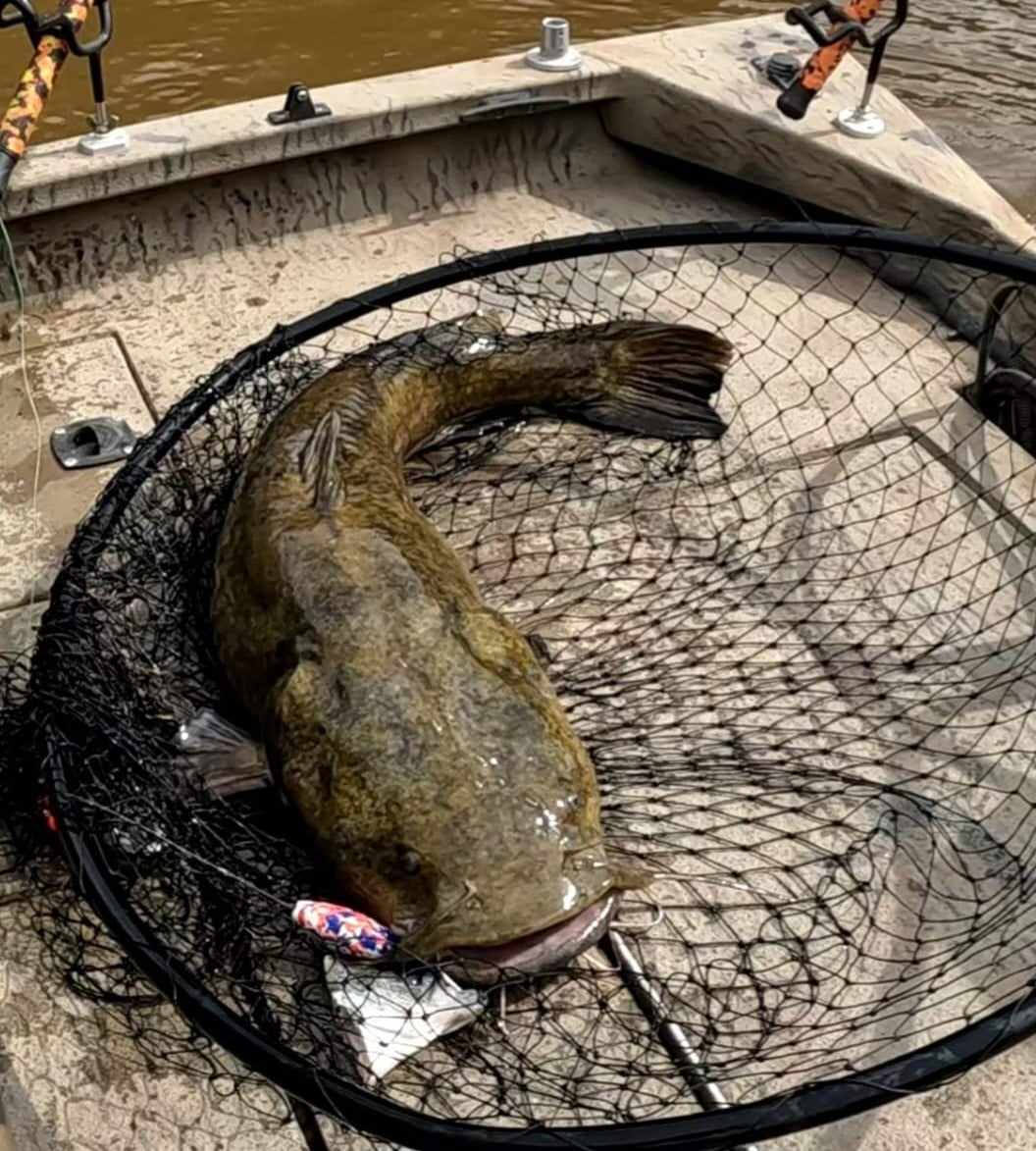 Mid-Atlantic Catfish Co